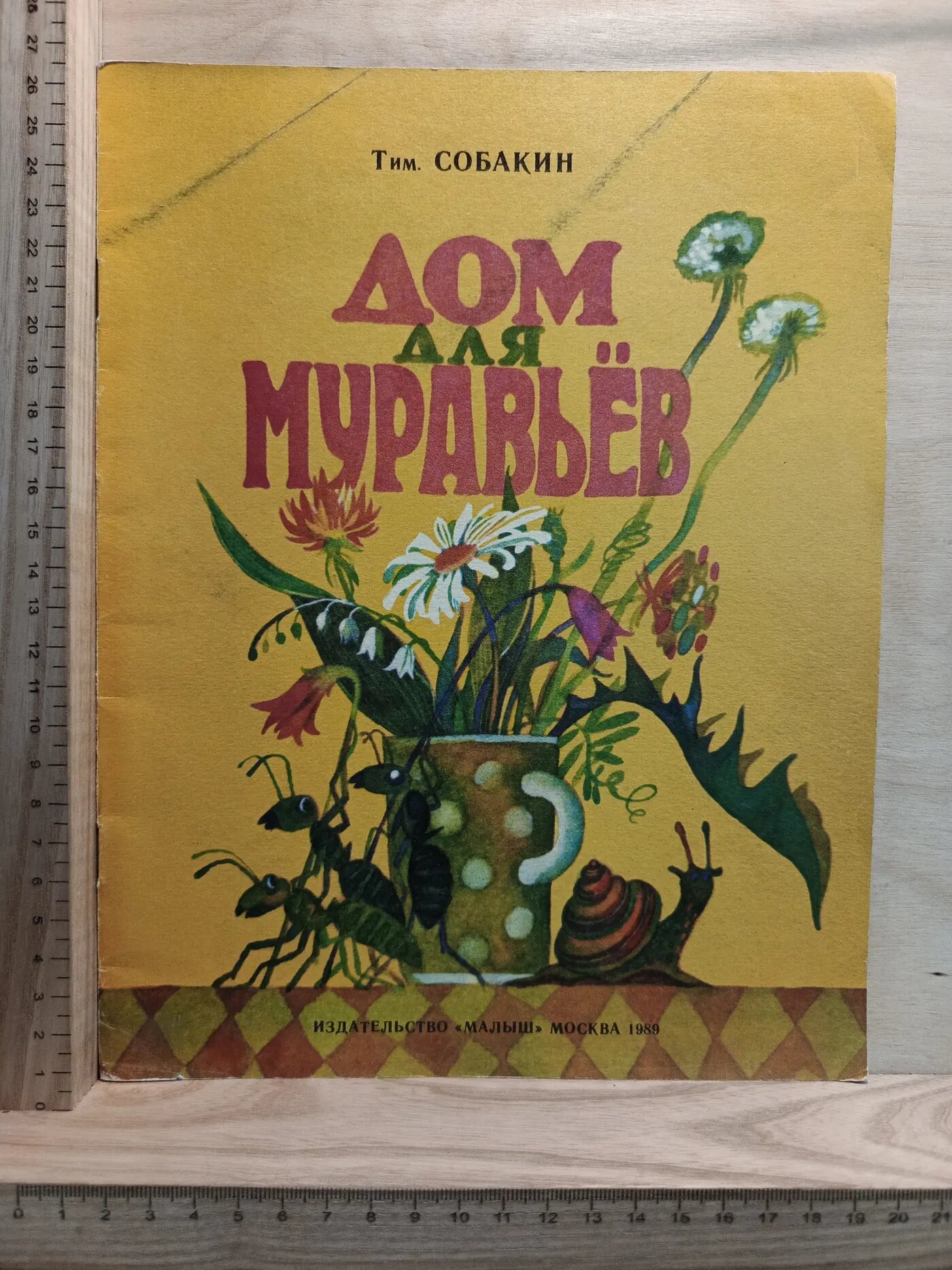 Дом для муравьёв