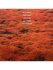 Kenny Wheeler-Gnu High