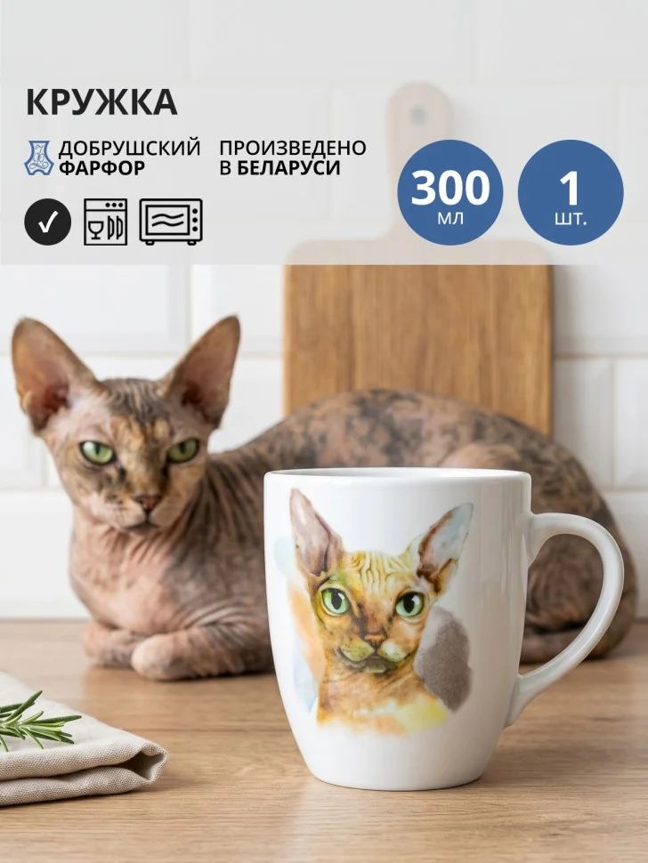 Кружка для чая и кофе 300 мл Добрушский фарфор Мой питомец Мэни