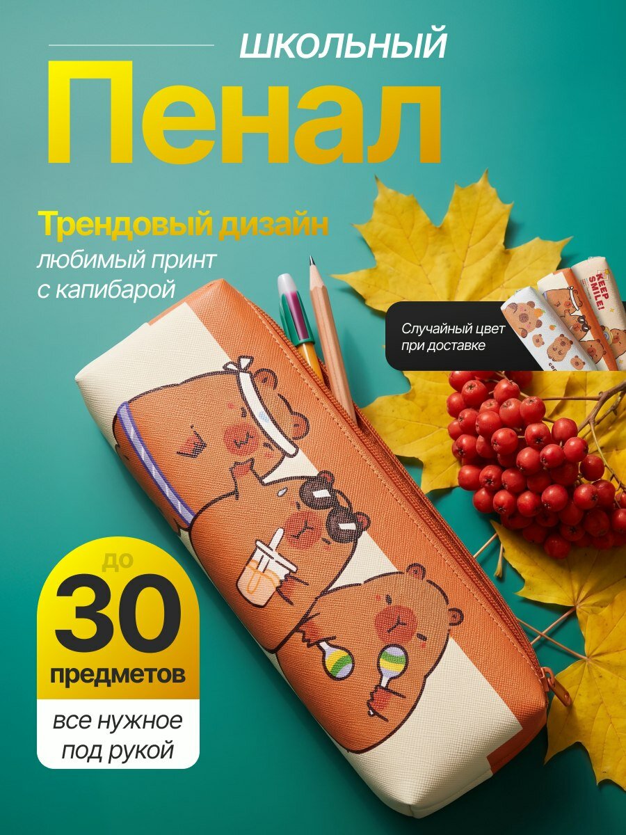 Пенал школьный капибара для девочек, мальчика. Пенал для школьных принадлежностей.