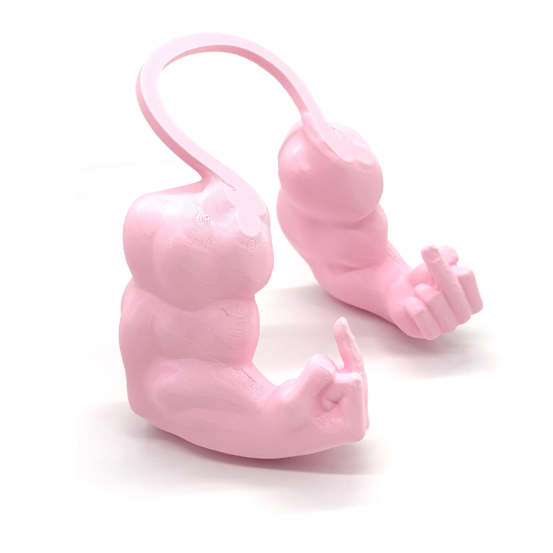 Компания Creative Green Giant arm3d печатает новые мышечные руки для домашних животных в забавных и творческих целях.