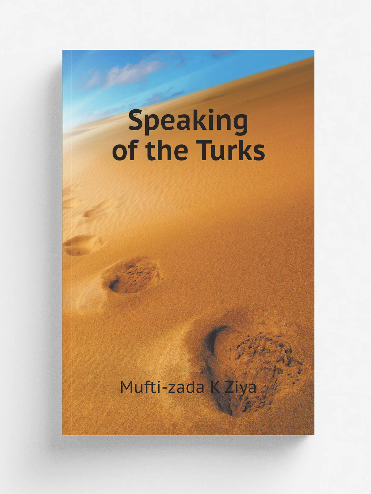 Speaking of the Turks