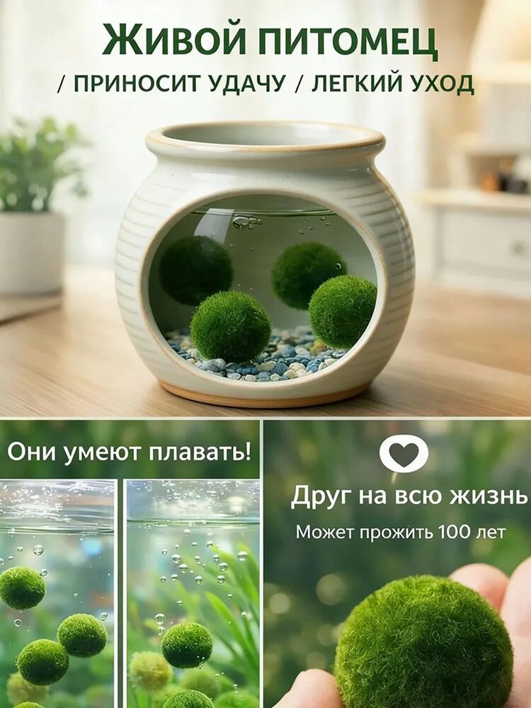 Живые водорослиНабор 4 шт, Натуральный мох шарики для аквариума, Символ удачи и любви