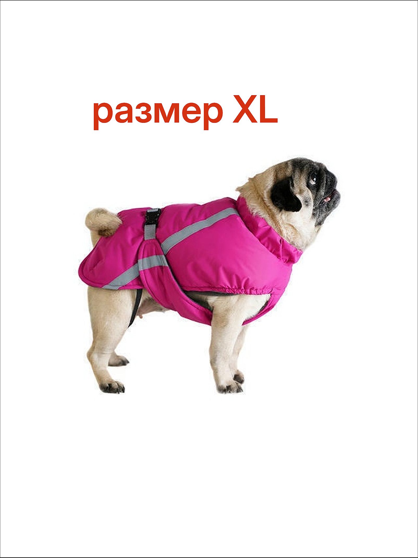 Жилетка для Мопса мембранная "Чемпион"