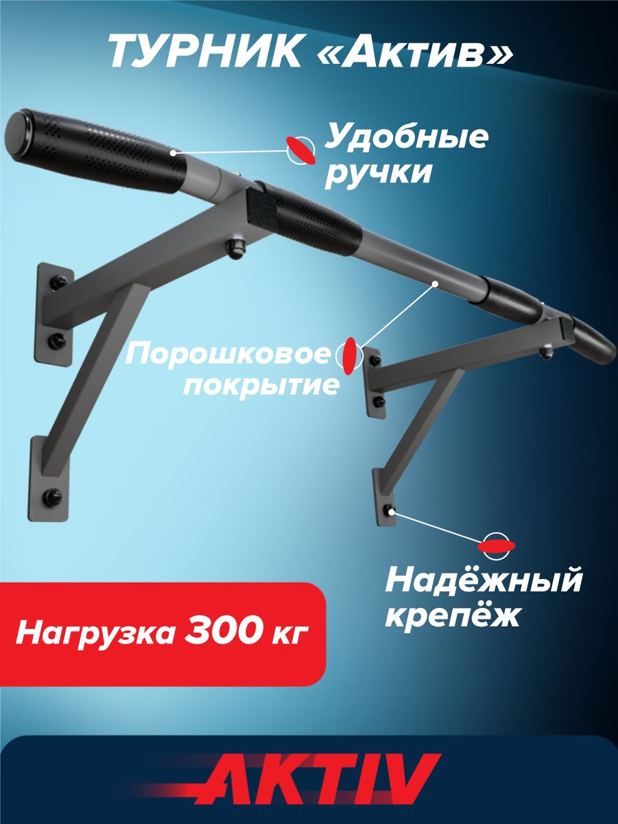 Турник настенный Aktiv разборный графит Absolute Brilliance