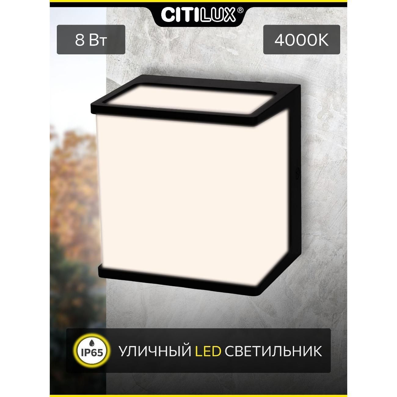 Светильник уличный Citilux Citilux DOMUS CLU0801 LED Уличный настенный светильник Чёрный