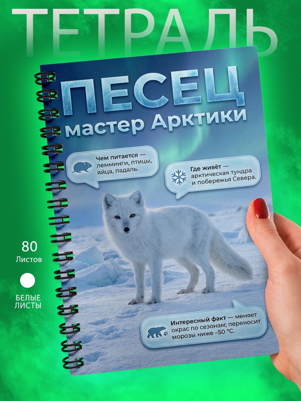 Тетрадь - Скетчбук А5 - Животные России - Песец