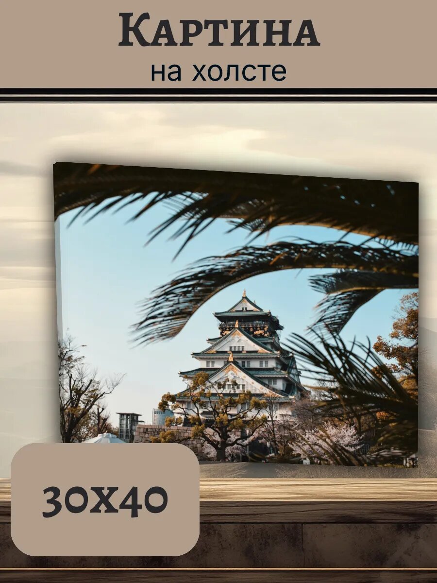 Картина Япония Japan 30x40 замок Осака сакура