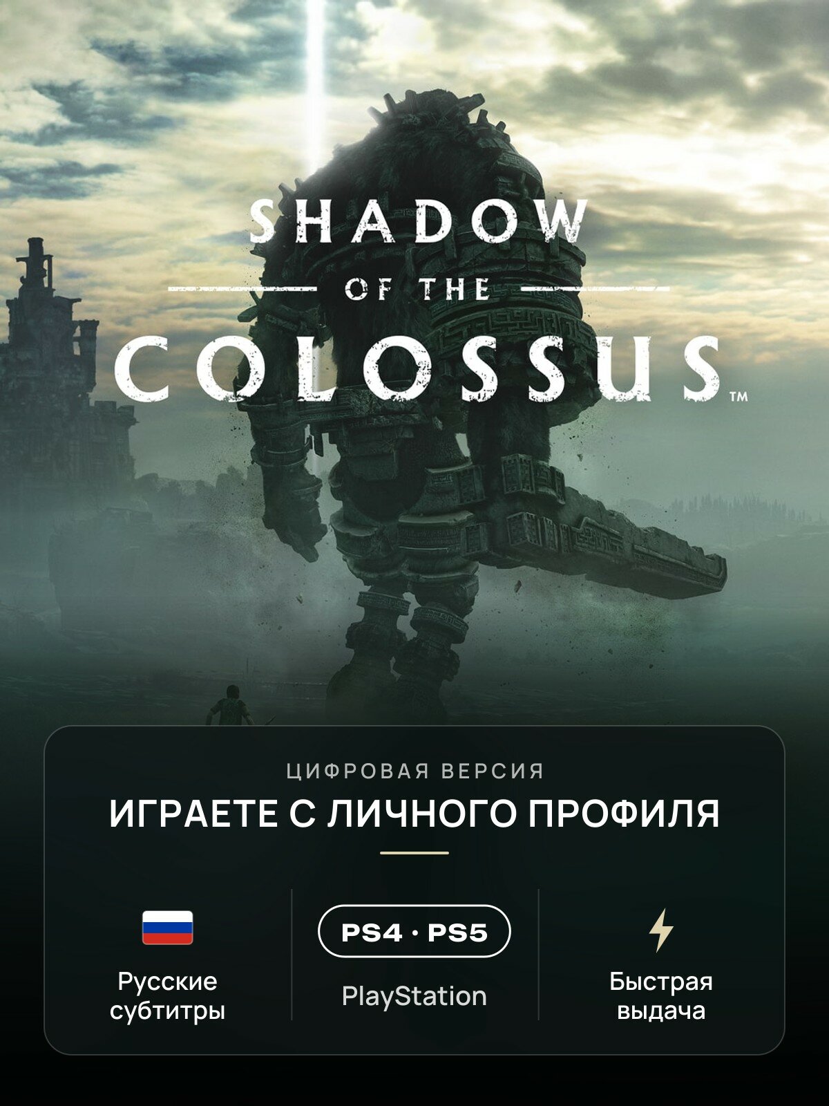 Игра Shadow of the Colossus для PlayStation 4/5 (PS4/PS5) Русские субтитры