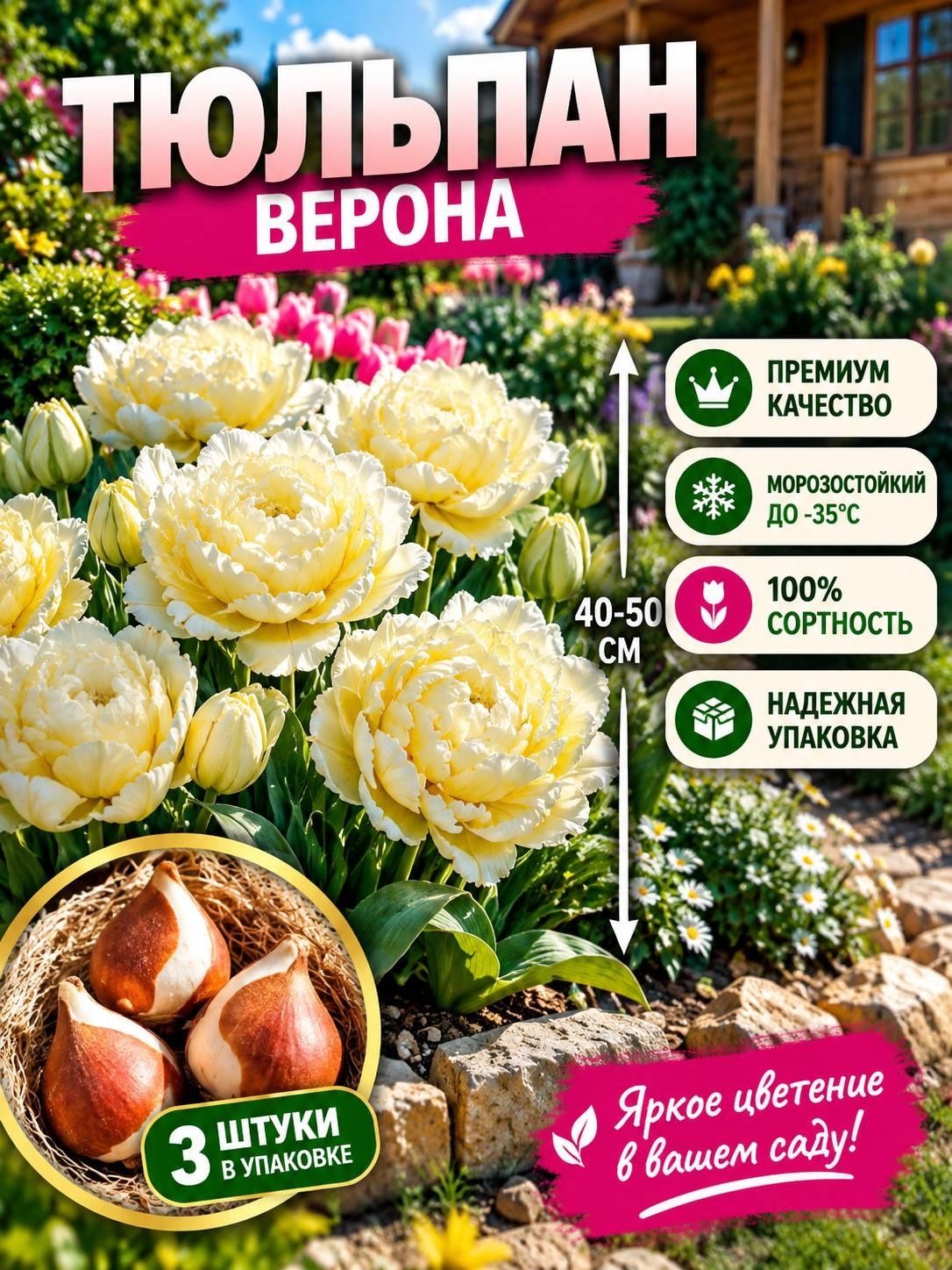 Луковицы тюльпана "Верона" 3шт.