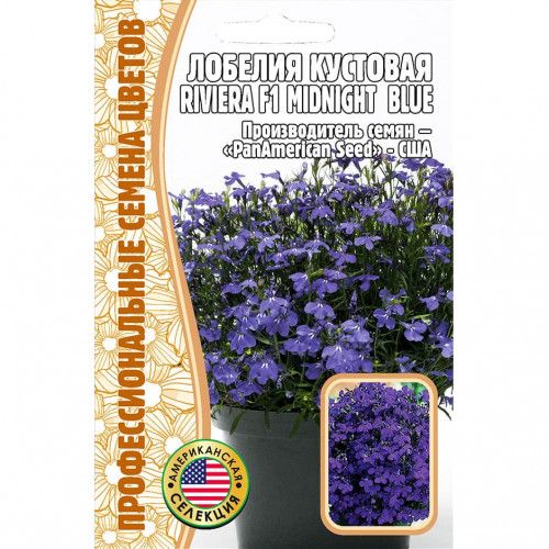 Лобелия Riviera Midnight Blue кустовая F1 5мультидраже Профессиональные семена цветов