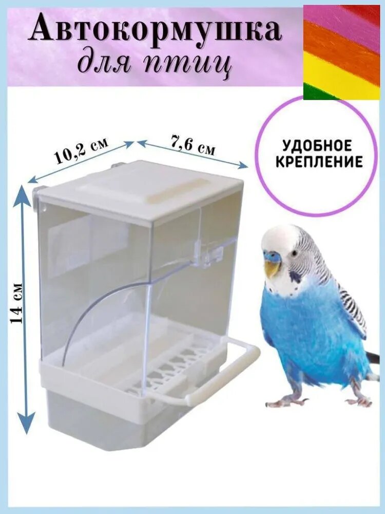 Эксклюзивная автокормушка