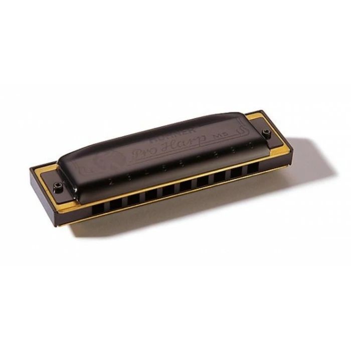 Hohner Pro Harp 562/20 MS C (M564016X) Губная гармошка