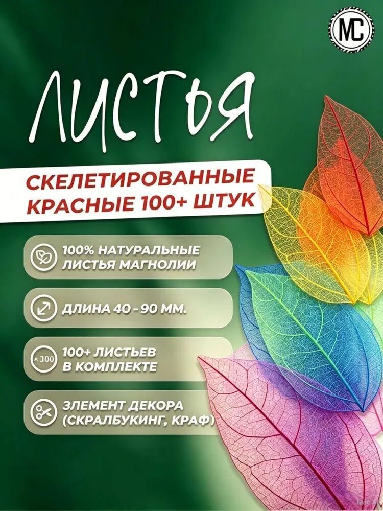 Скелетированные листья, природный материал для творчества, поделок, бижутерии и хобби