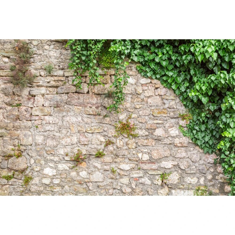 Виниловый фотофон кирпичная стена зеленый Vinyl 220x150cm, MX3241