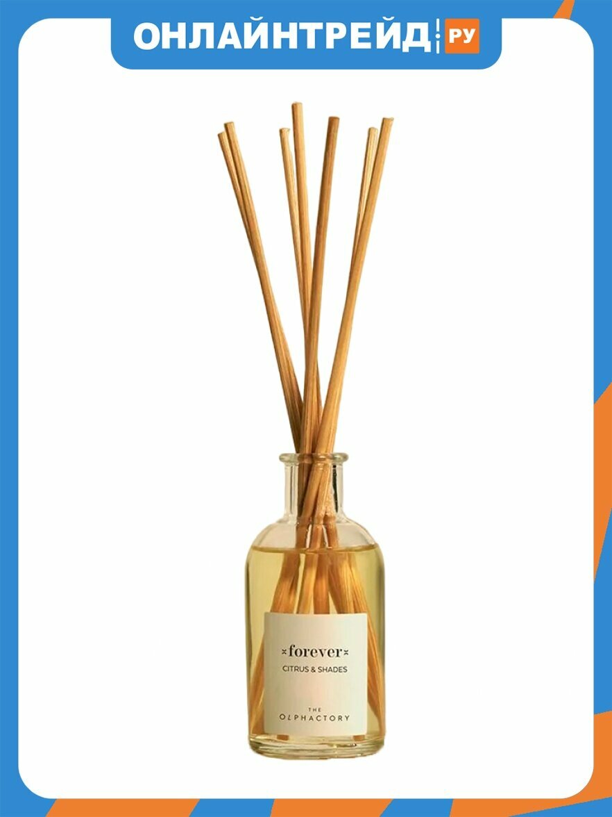 Ароматический диффузор Ambientair The Olphactory, Forever, Citrus&Shades, 250 мл