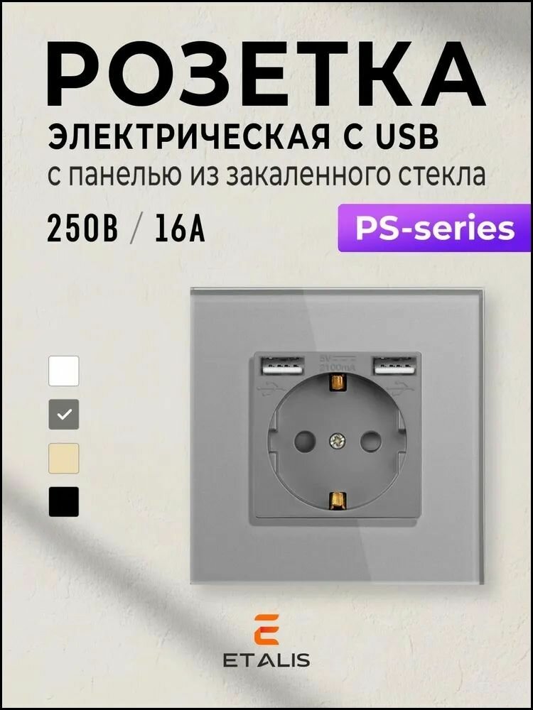 Розетка с 2 портами USB Type-A и заземлением в стеклянной панели (3.5 кВт, серая)