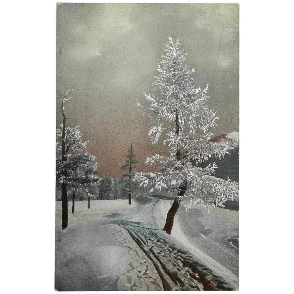 Почтовая открытка "Иней на закате" 1900-1917 гг. Германская Империя