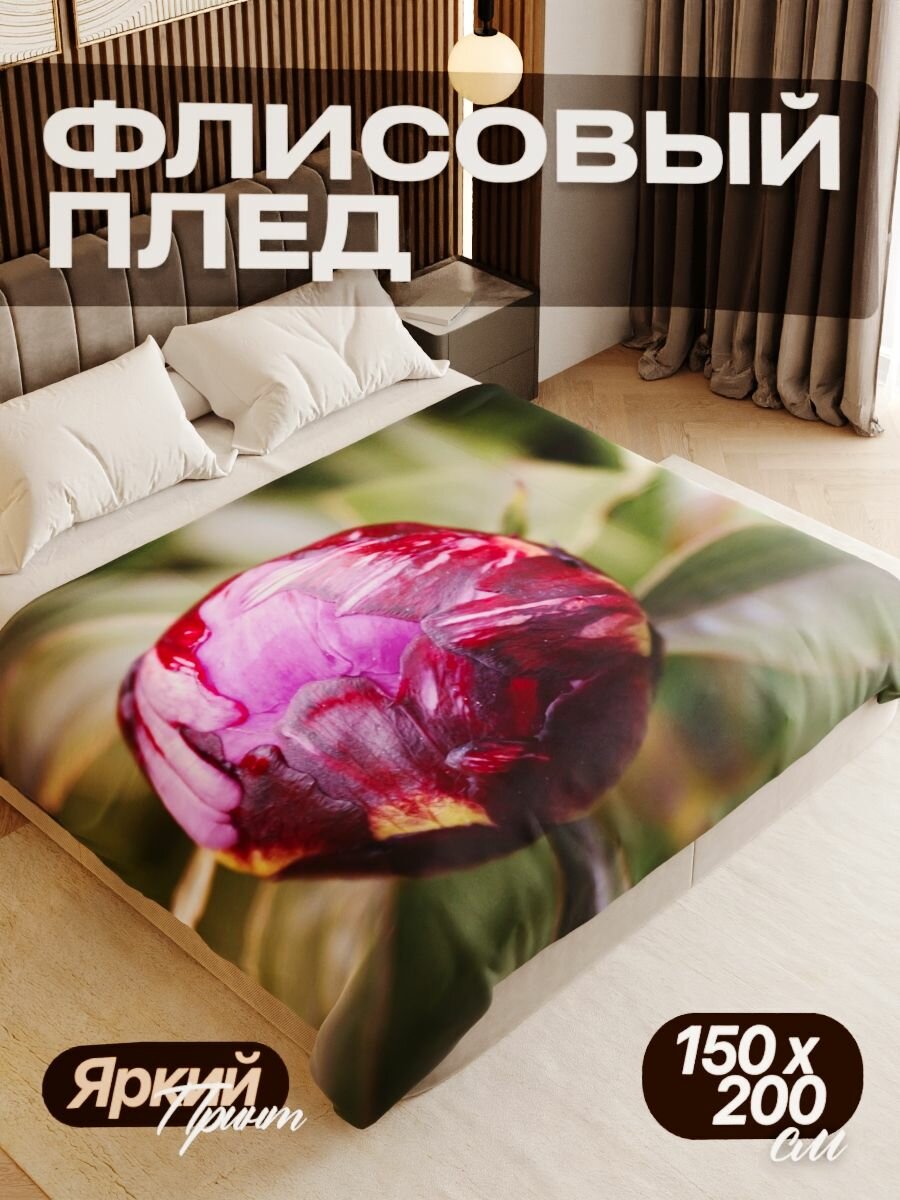 Плед флисовый 150х200 см мягкий теплый покрывало для дома