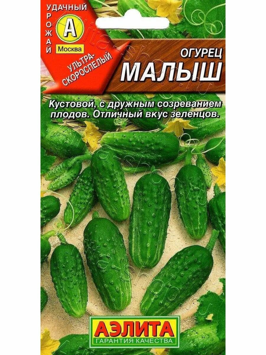 Семена "Огурец Малыш"