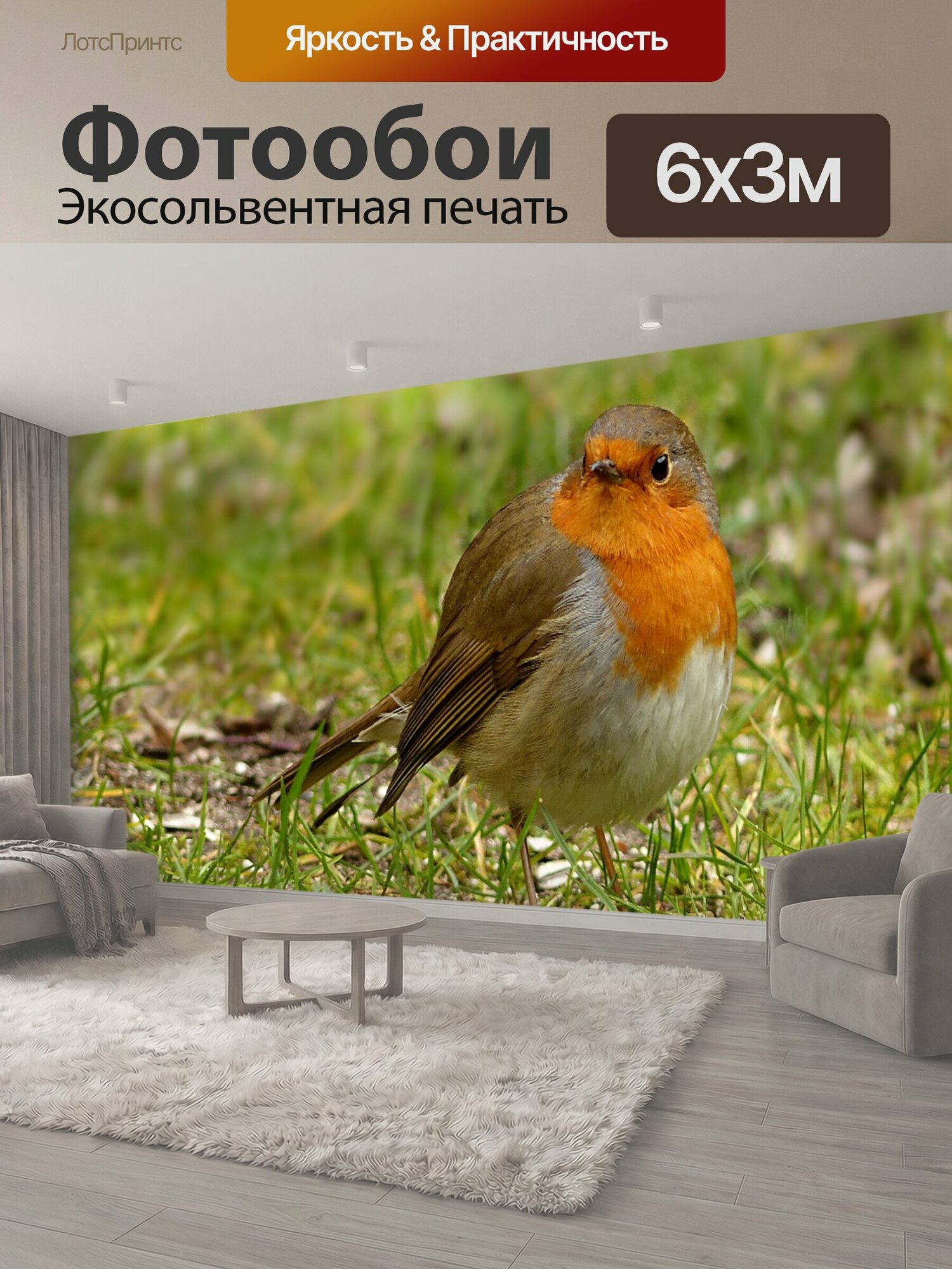 Фотообои "Робин, rubecula зарянки, птица" 600x300 см. экосольвентная печать