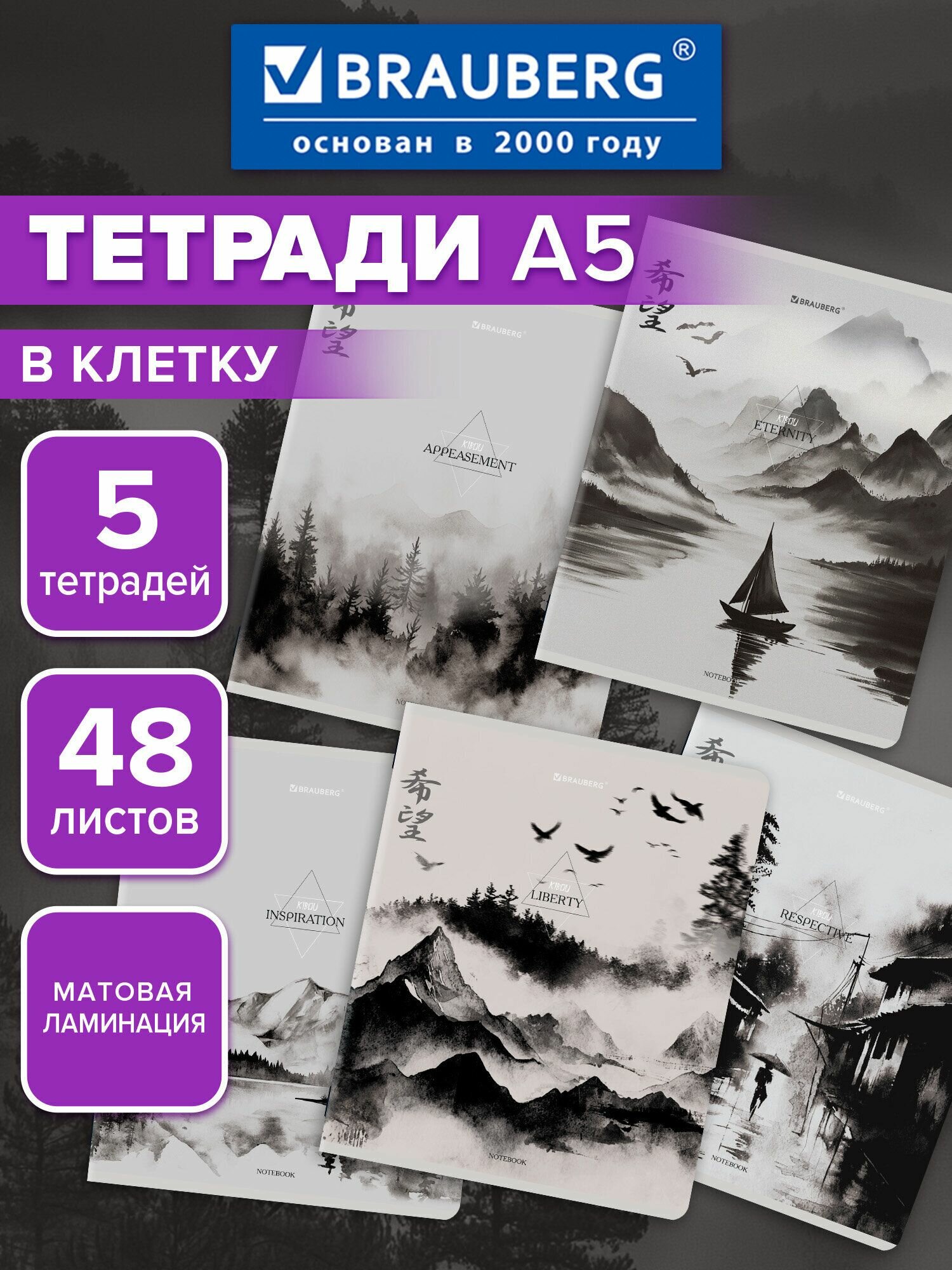 Тетрадь 48 листов в клетку Brauberg 5 штук набор