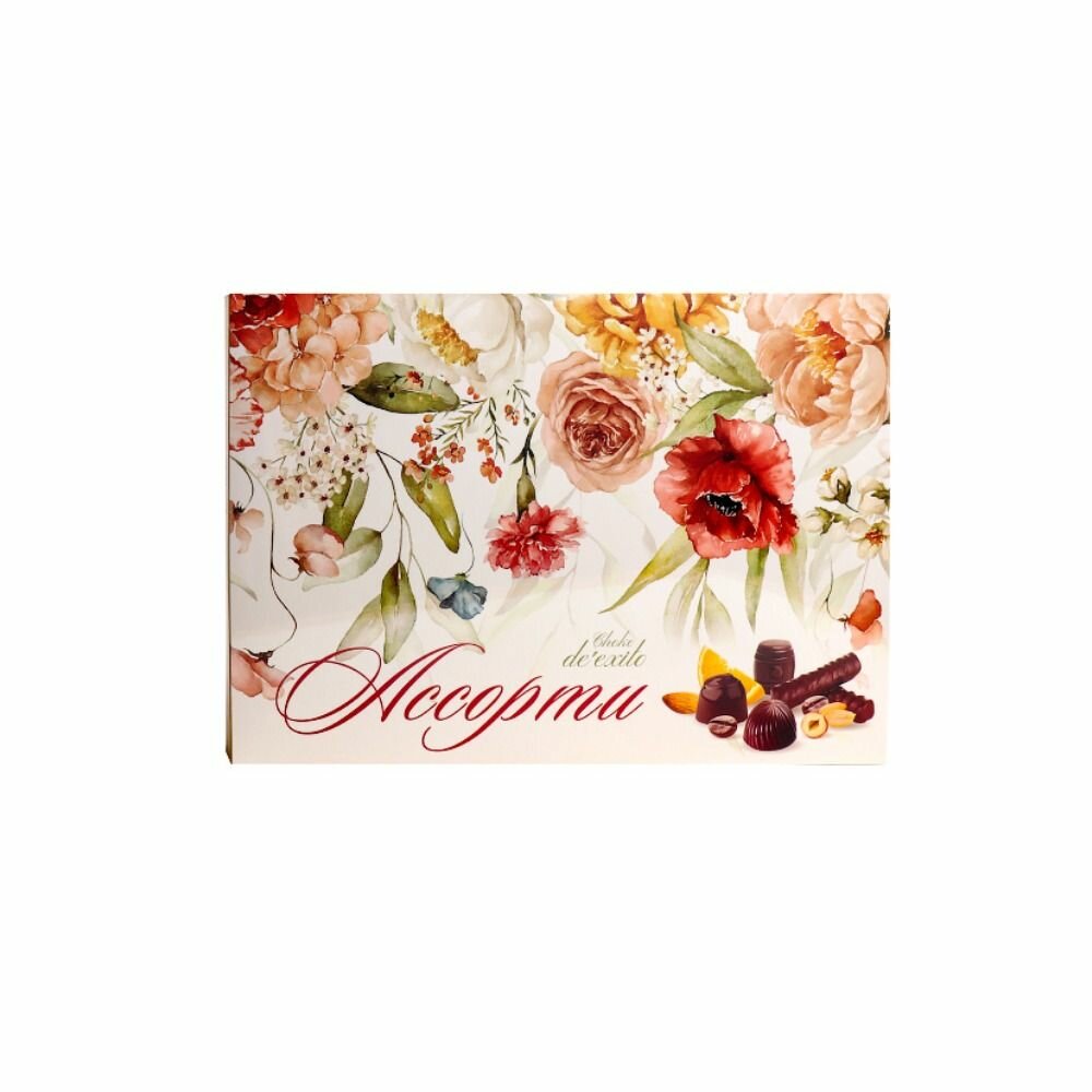 Choko de'exito Конфеты шоколадные Акварель, ассорти, 280 гр