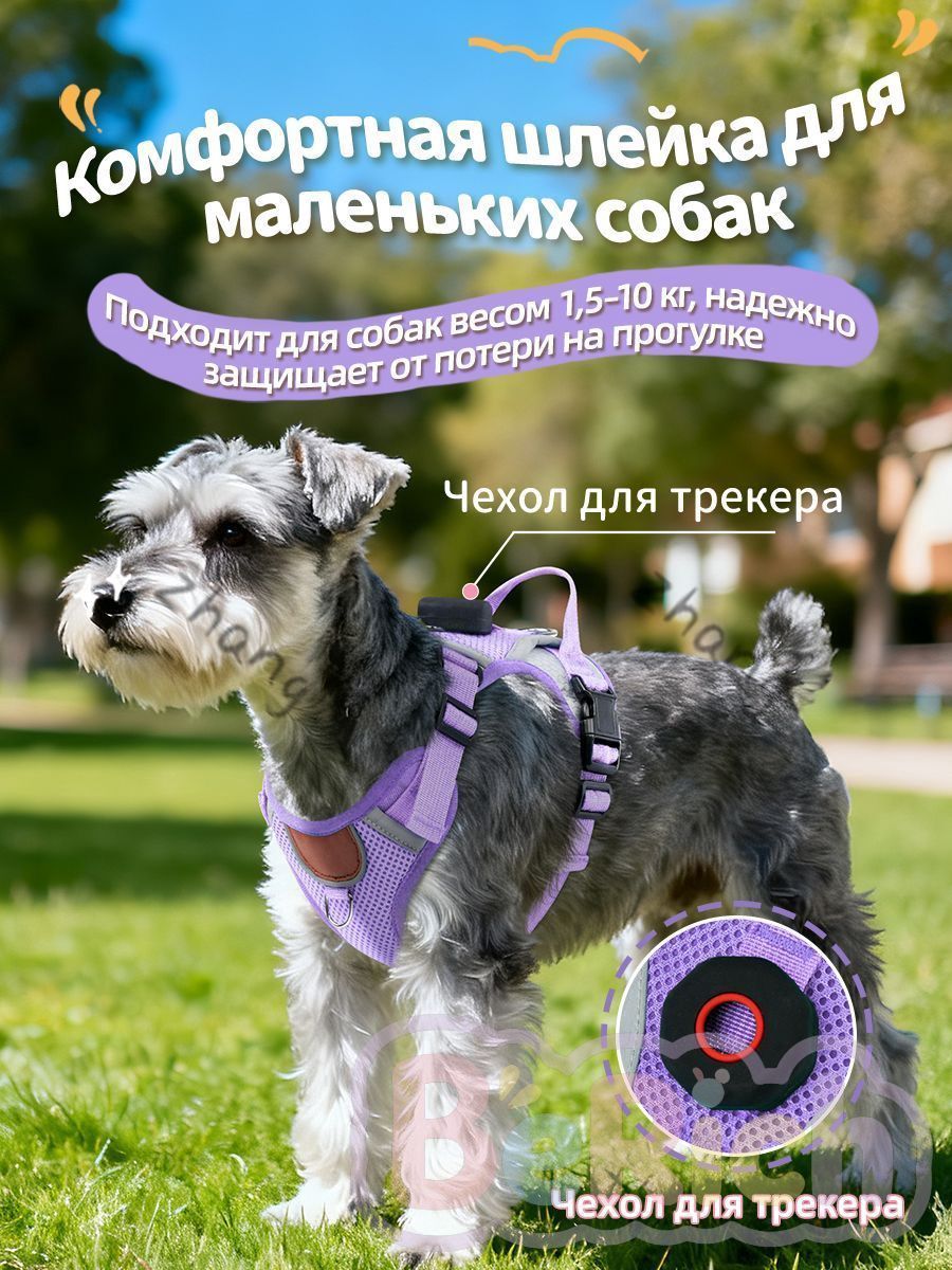 Сетчатая шлейка для собак
