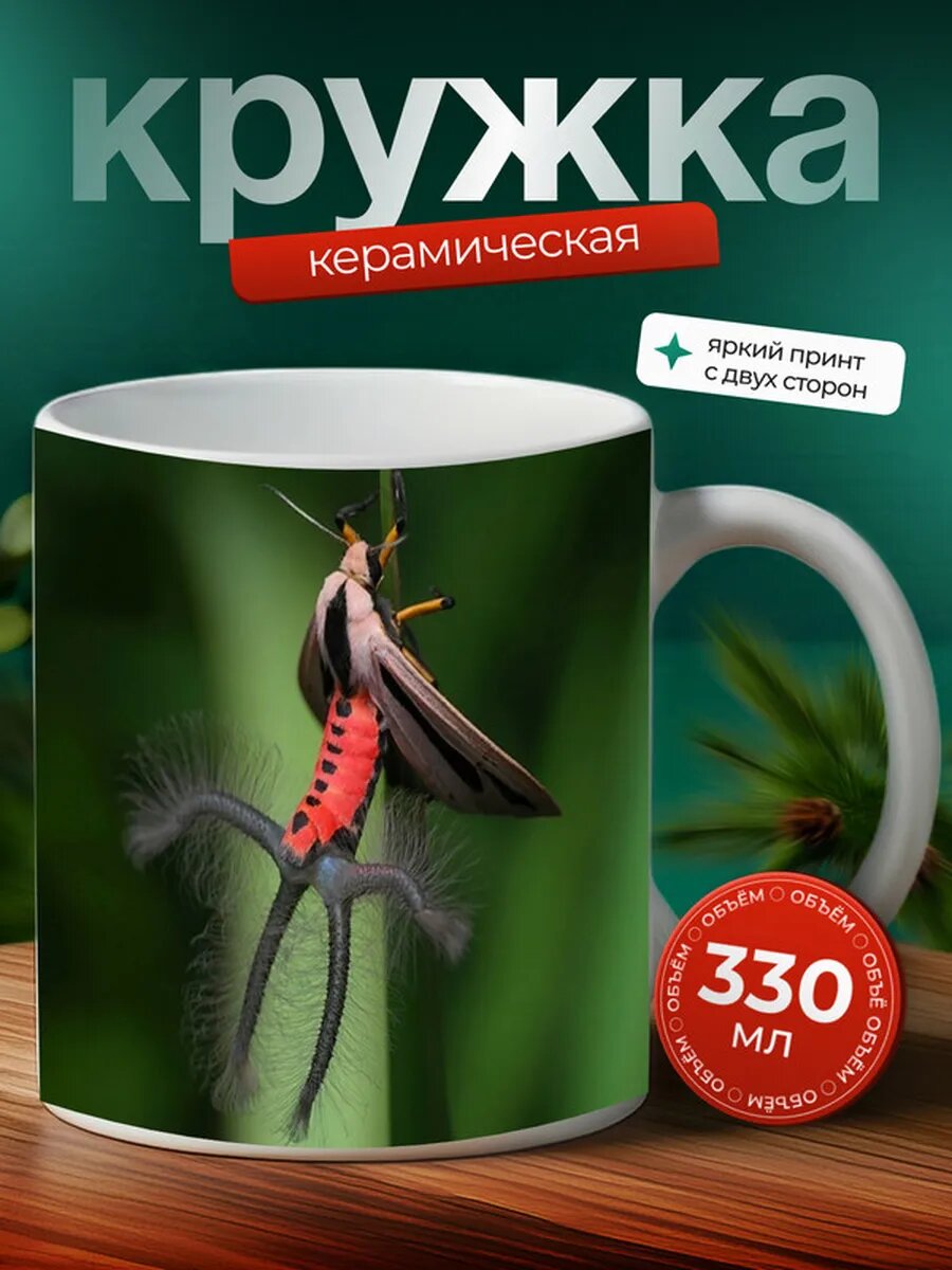 Кружка Мизумена паук-цветочник паукообразное 4,