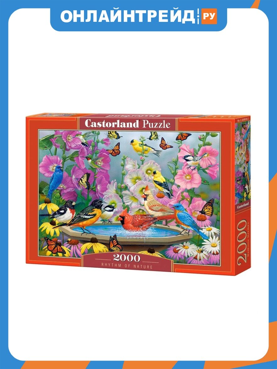 Пазл Castorland Ритм природы, 2000 деталей