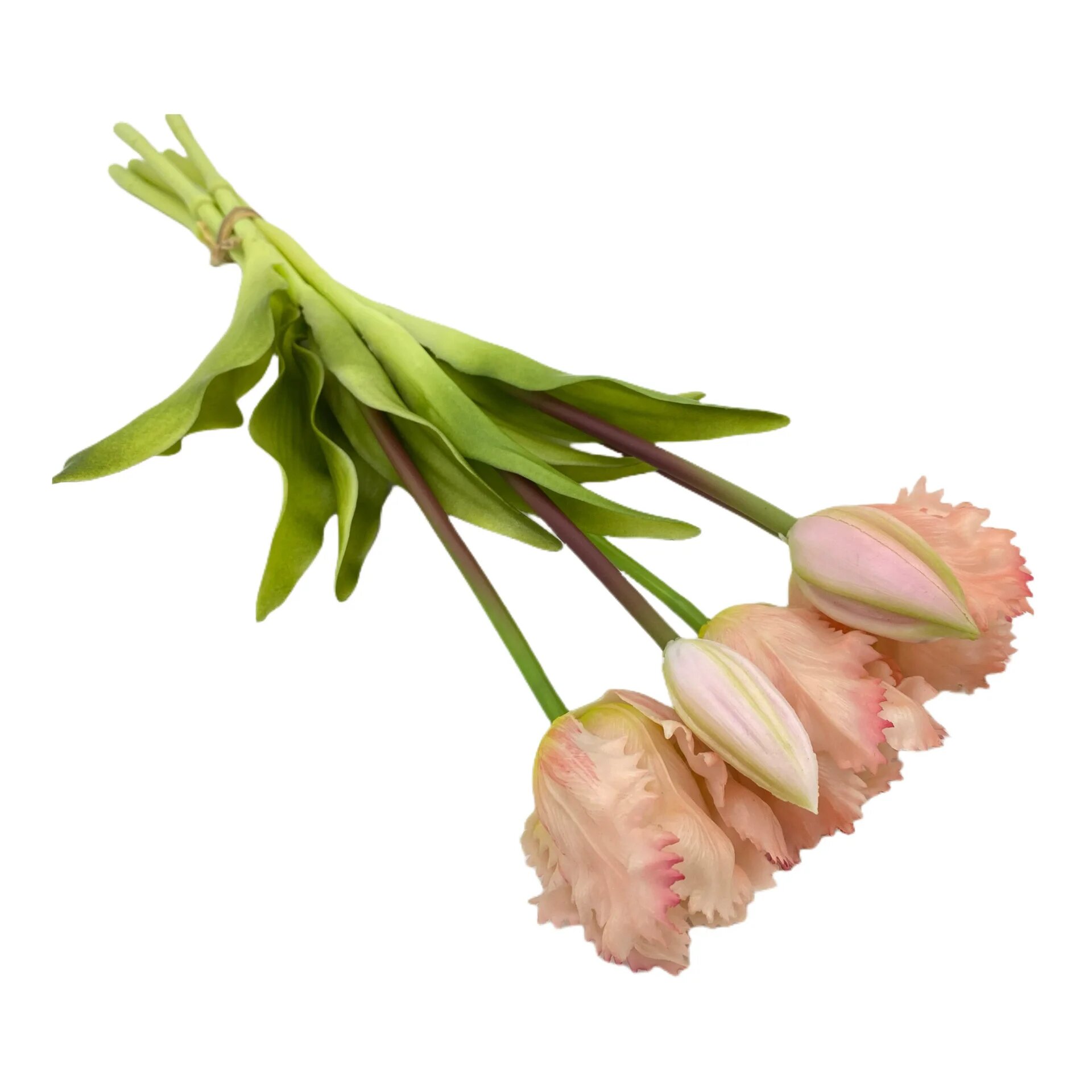 Белые латексные тюльпаны Flores, 5 шт, 40 см