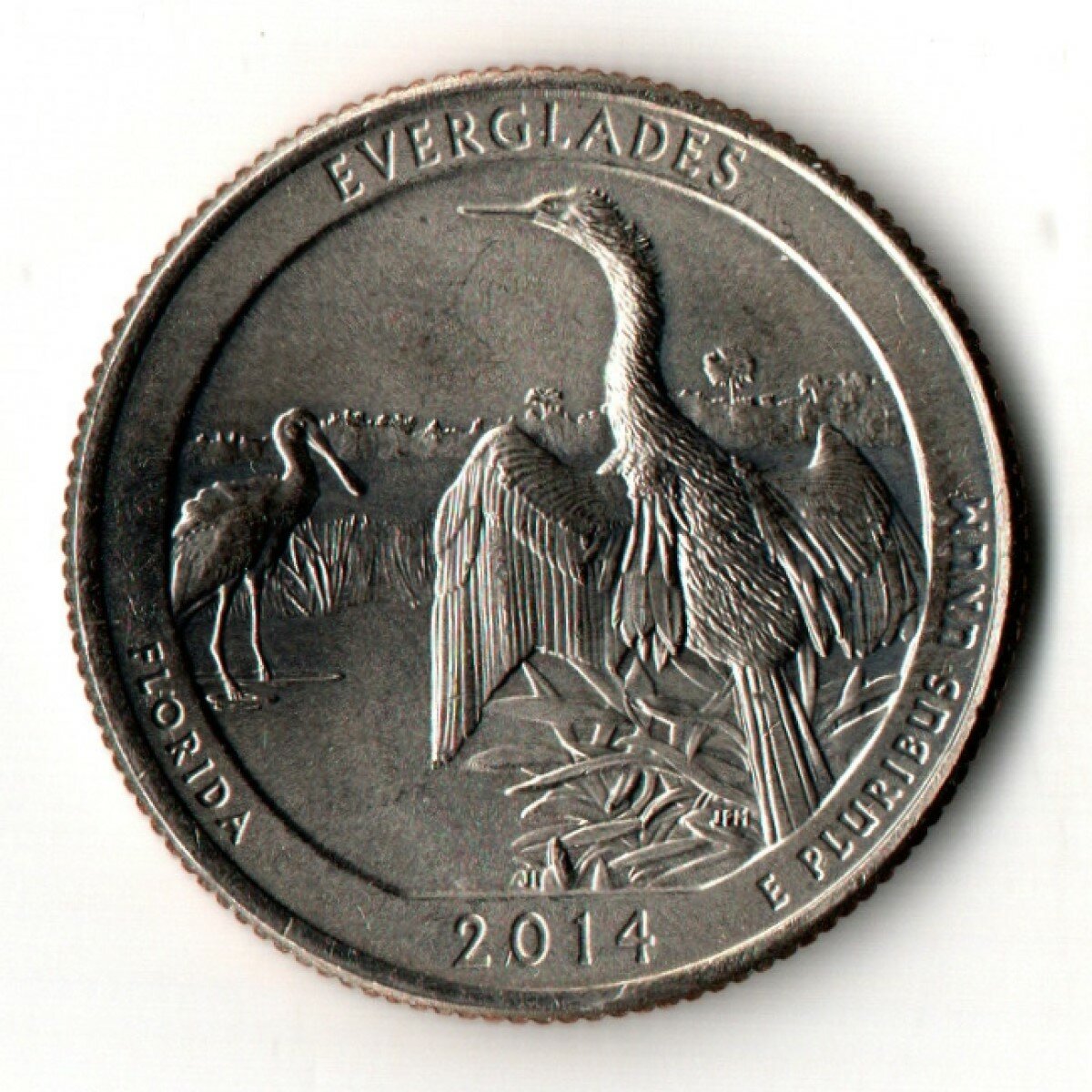 25 центов 25-й парк 2014 США Эверглейдс 2014 год