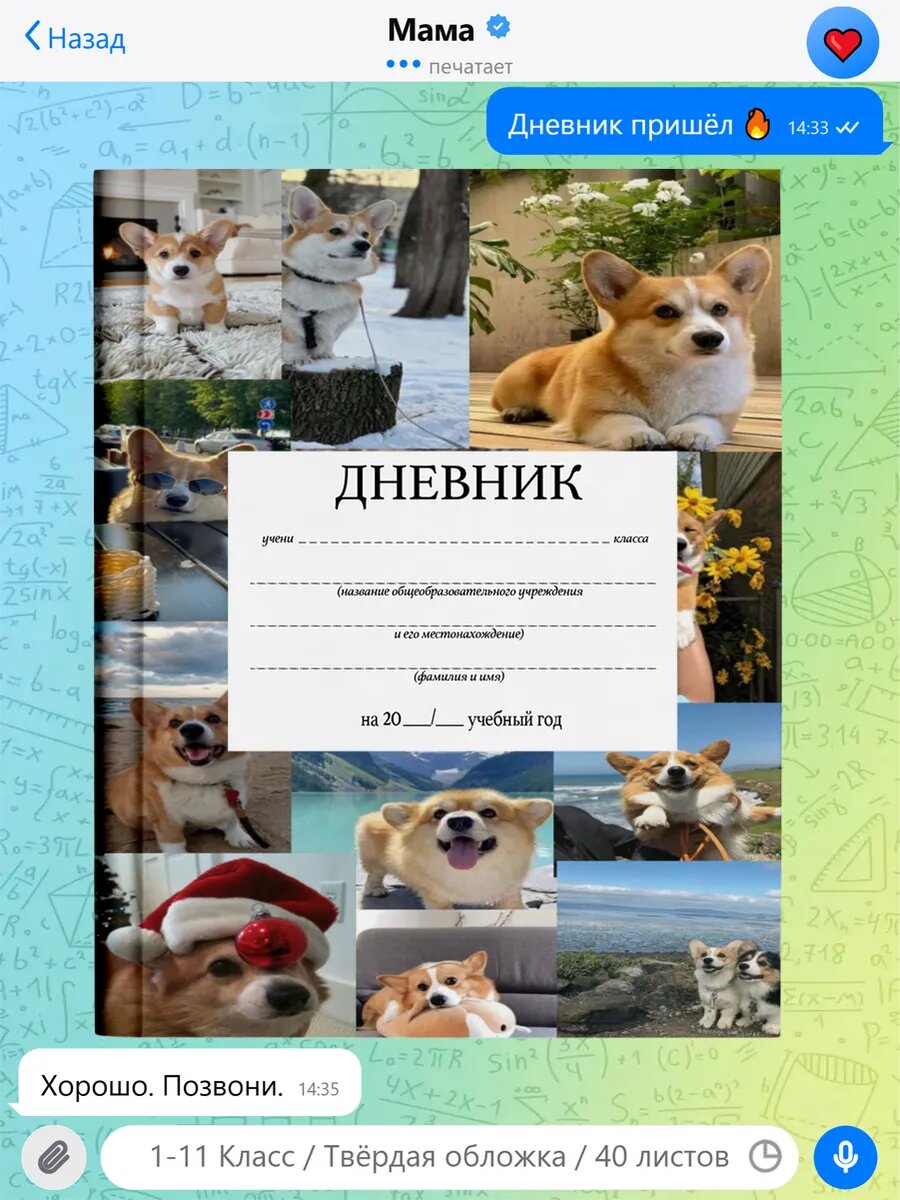 Школьный дневник с принтом Роблокс