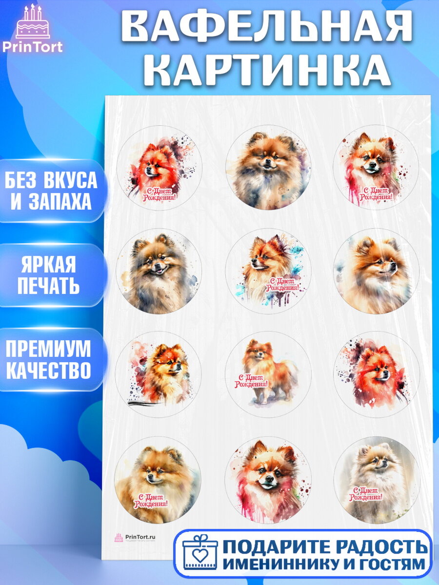 Вафельная картинка для торта Шпиц. Украшения для торта на День Рождения. Декор для выпечки PrinTort