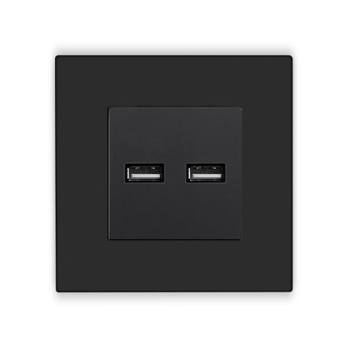 Розетка 2USB пластиковая рамка