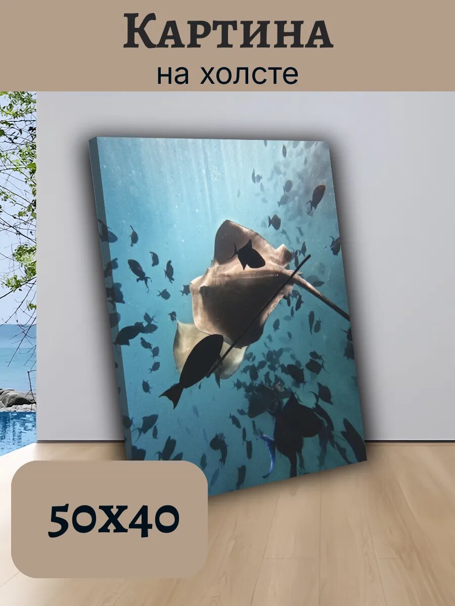 Картина Постер Мальдивы Maldives 40x50 скат Манта