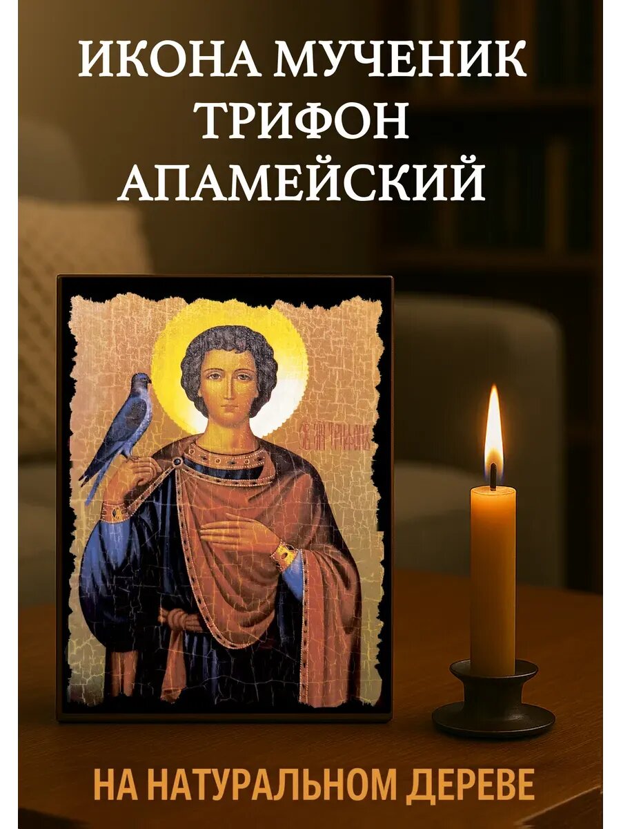 Икона Мученик Трифон Апамейский 15х18 см на дереве, православная икона для дома