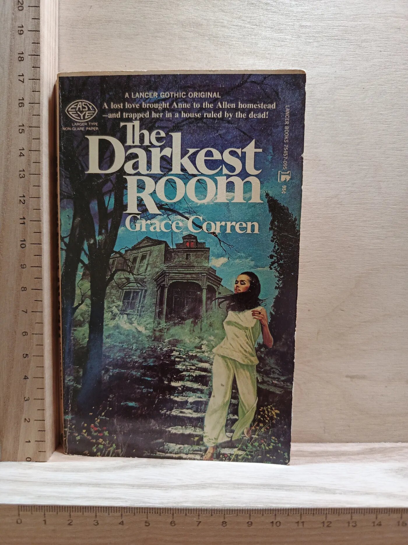 The Darkest Room (Самая темная комната) (на английском языке)