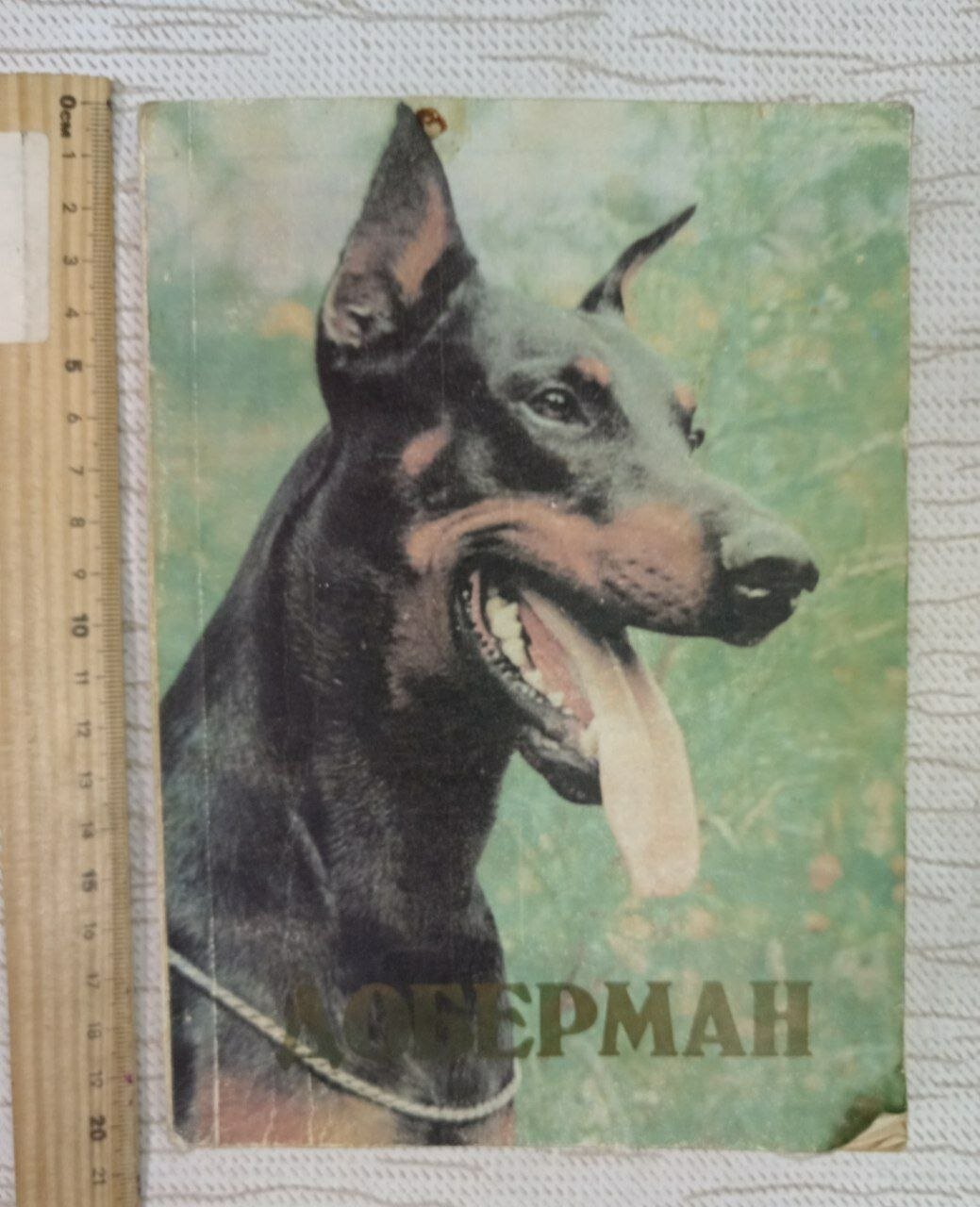 Доберман.
