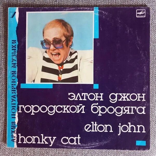 Honky Cat