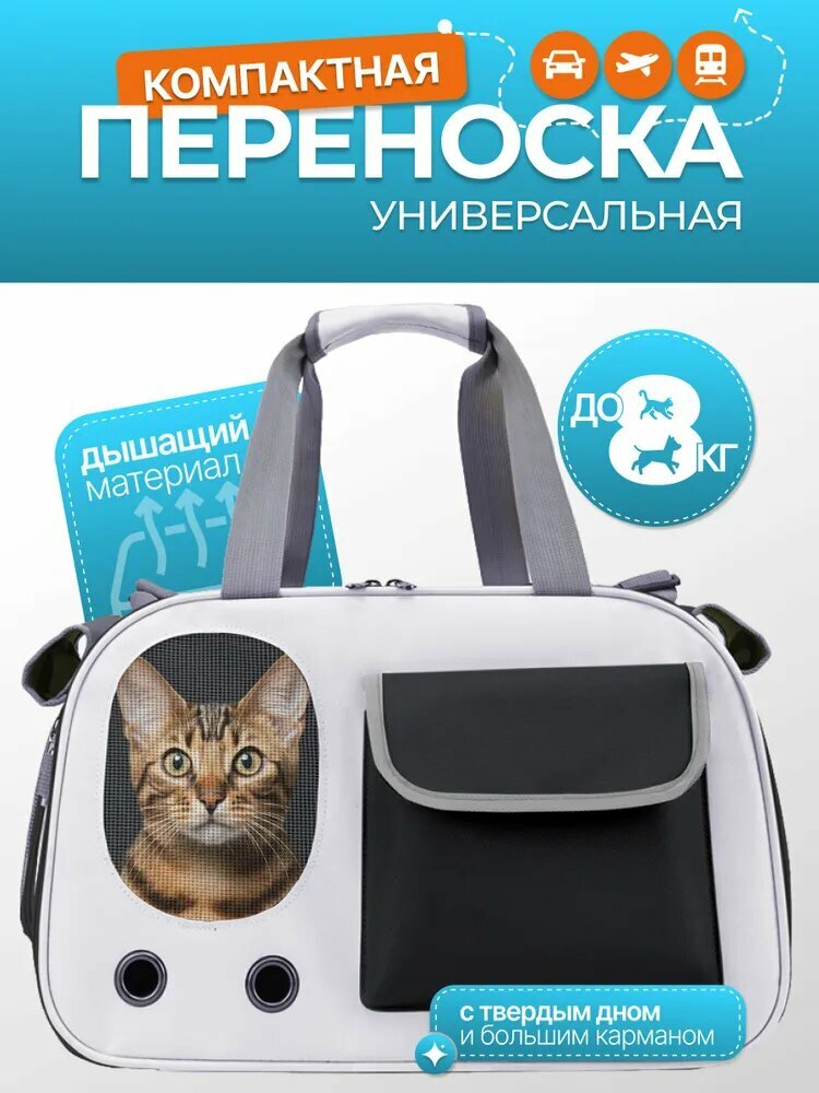 Сумка-переноска для кошек и собак разных пород, сумка для животных