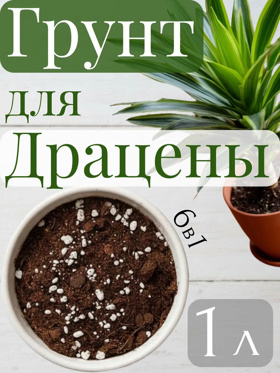 Готовый грунт для Драцены 1 литр