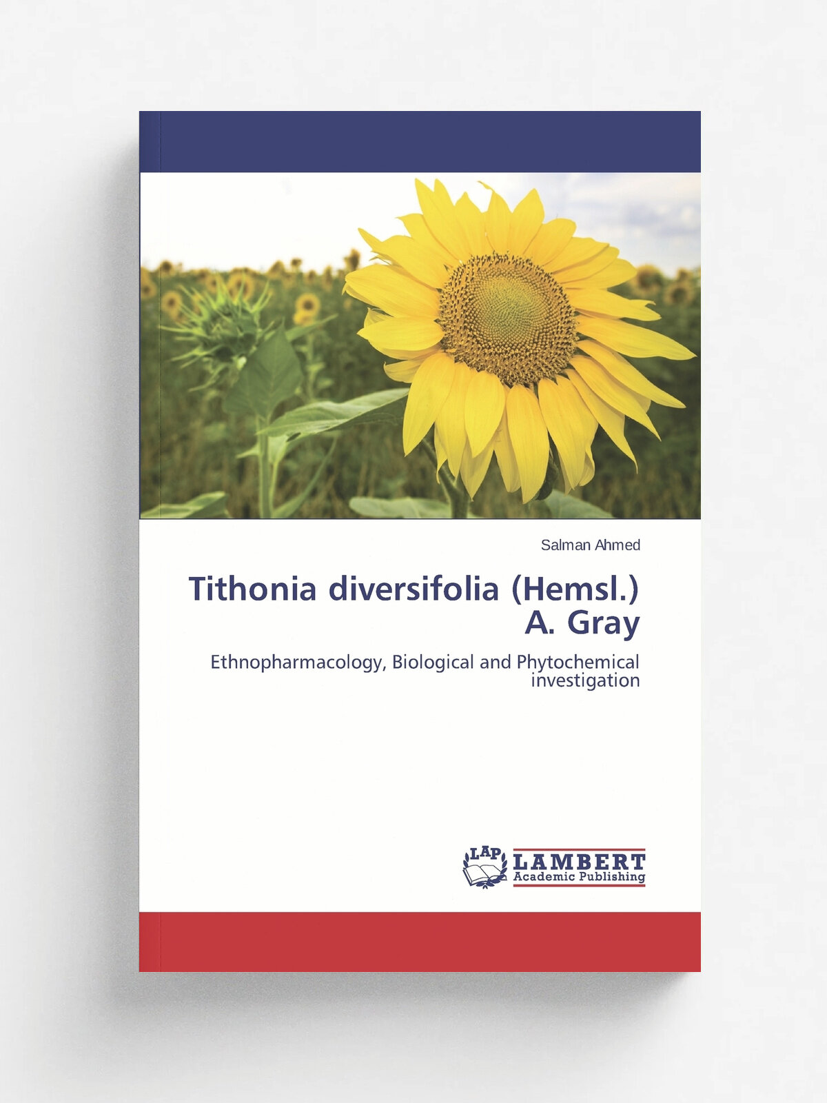 Tithonia Diversifolia (Hemsl.) A. Gray