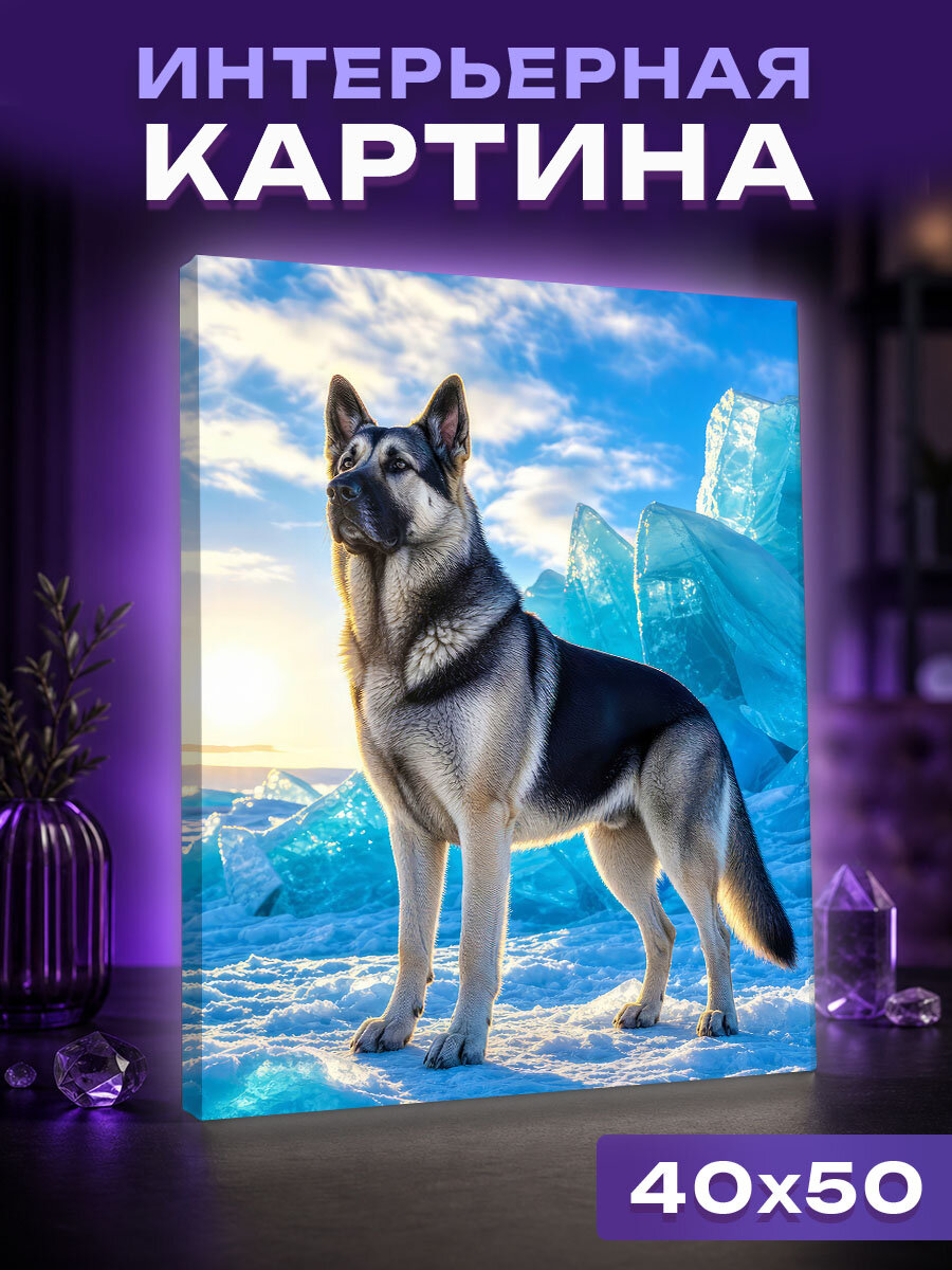 Интерьерная картина Овчарка на фоне ледяных торосов
