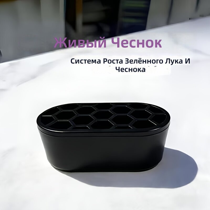 Набор для регенерации зеленого лука, 1 шт, черный, компактная система для выращивания в домашних условиях на балконе или подоконнике, быстрая регенерация, не требует навыков