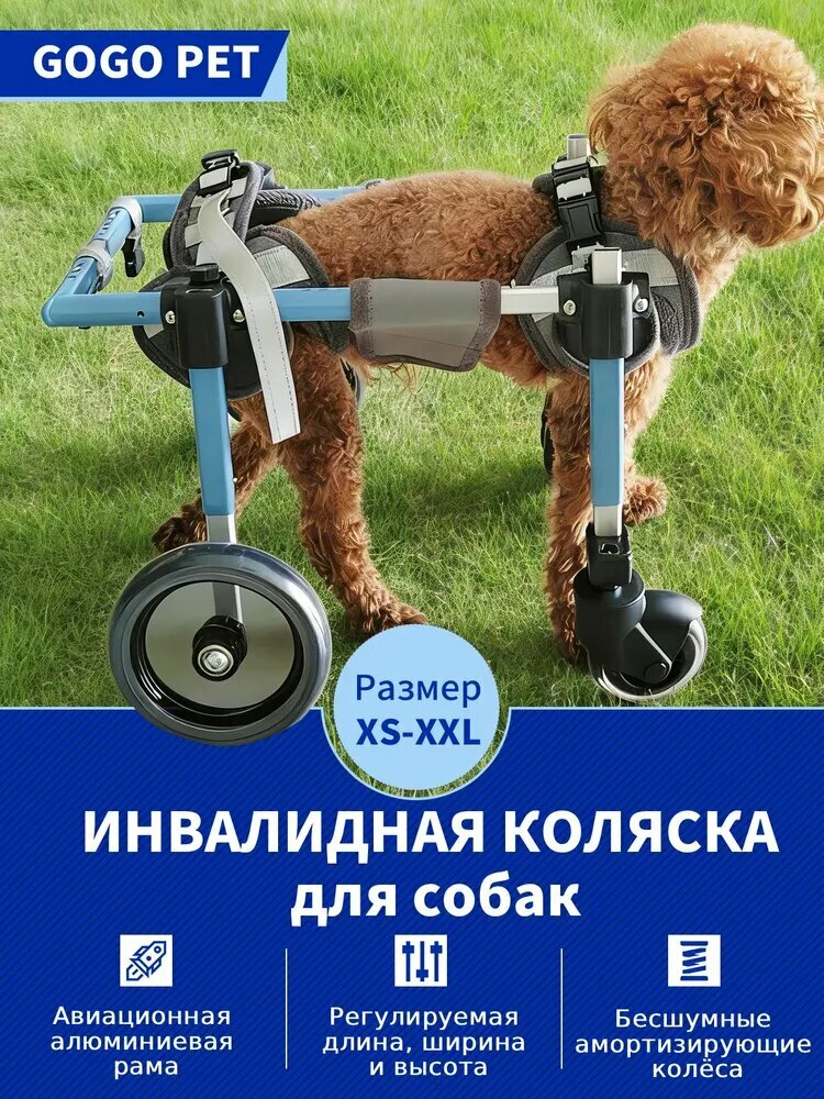 Четырёхколёсная инвалидная коляска для собак мелких пород (5-8 кг) при слабости передних лап или полном параличе, размер XS, синяя