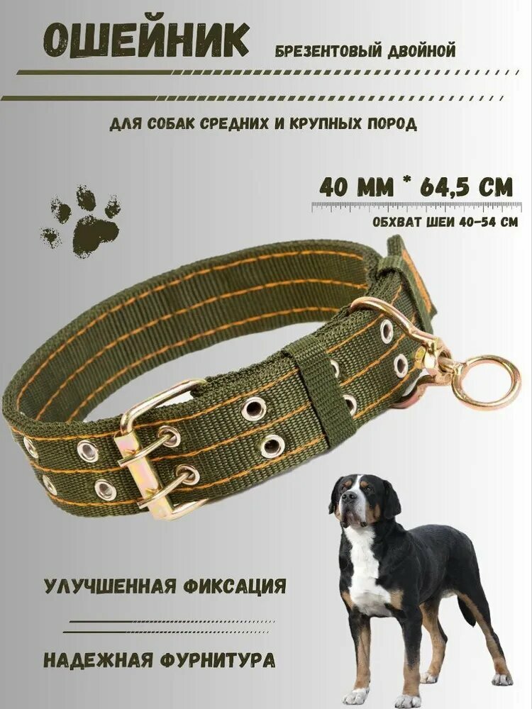 Ошейник