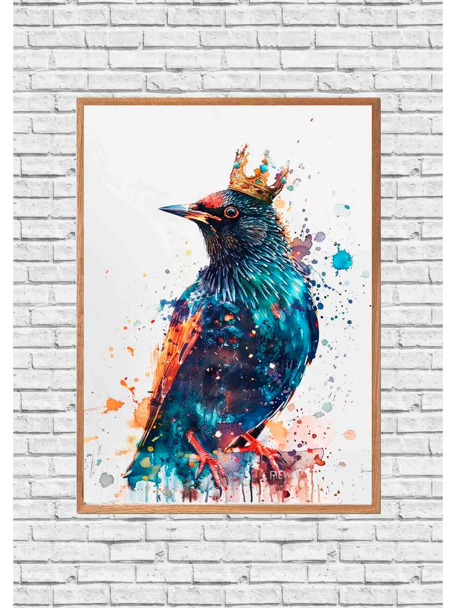 Скворец- птица, король Англии 0, Плакат 30x42см