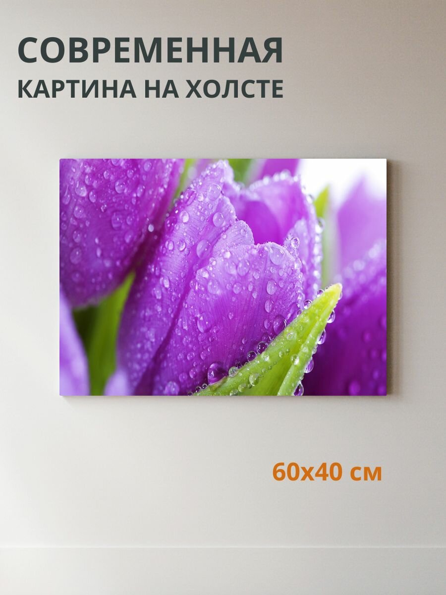 Картина на холсте Тюльпаны 60x40 см