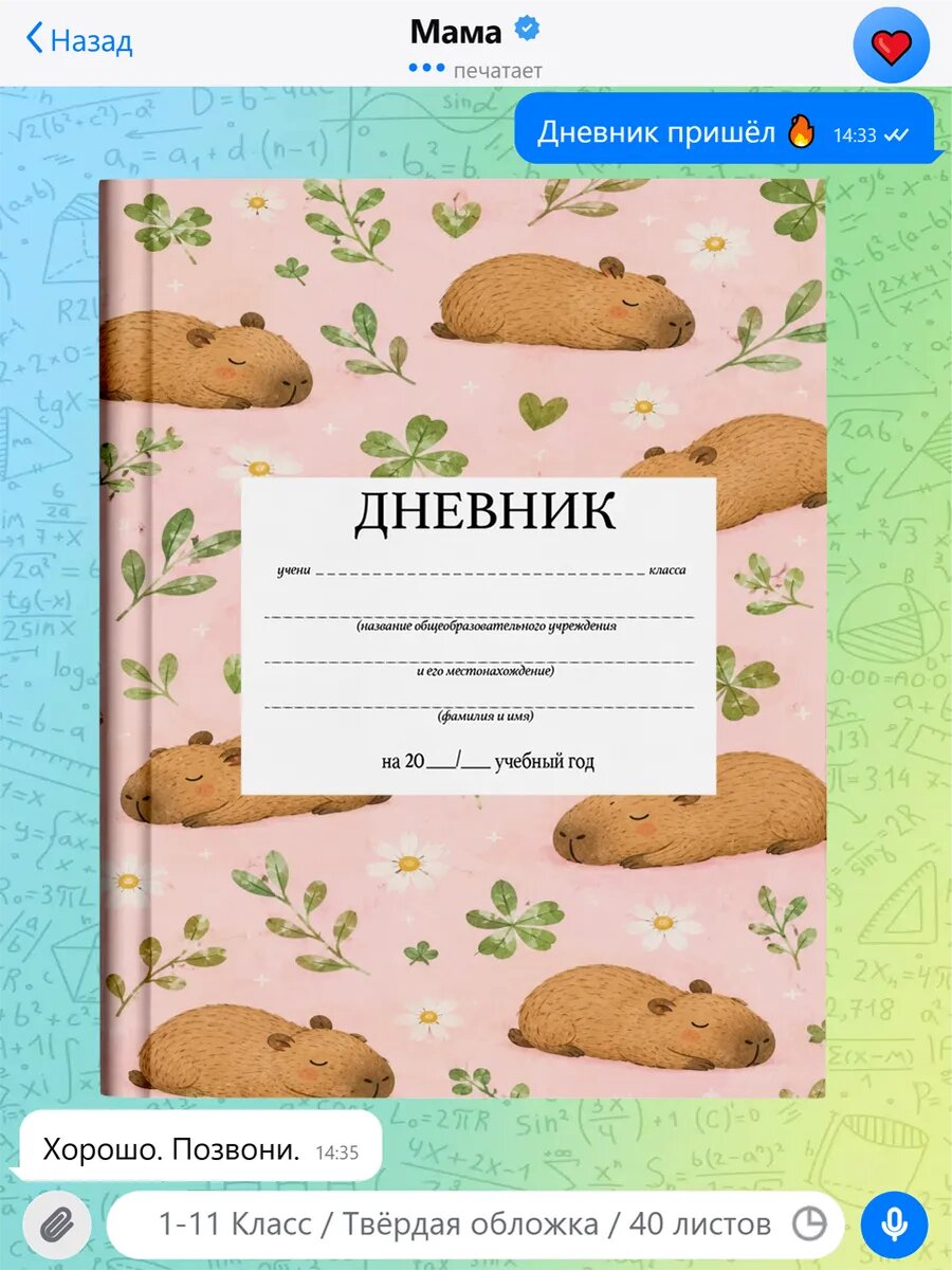 Школьный дневник с принтом y2k pinterest